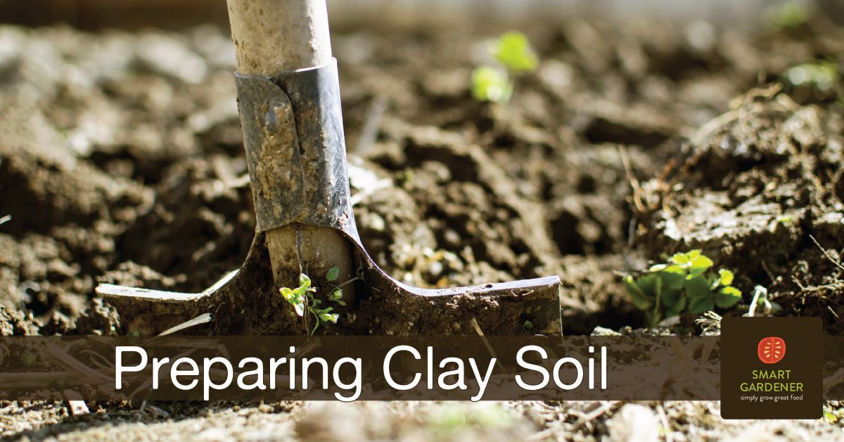 Prepare Clay Soil for Spring Planting - SmartGardener Blog