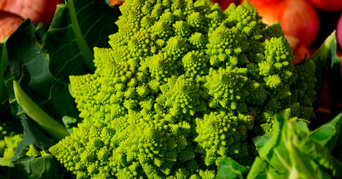 SmartGardener Blog - simply grow great food